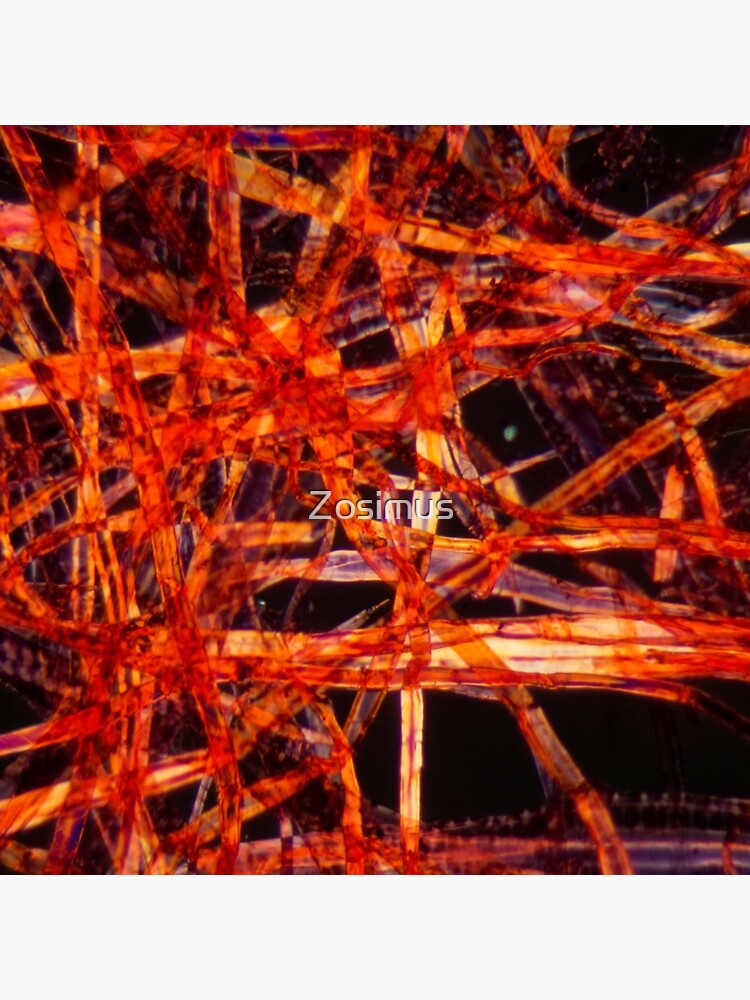 "Red plastic fibers under the microscope" Acrylic Block for Sale by ...