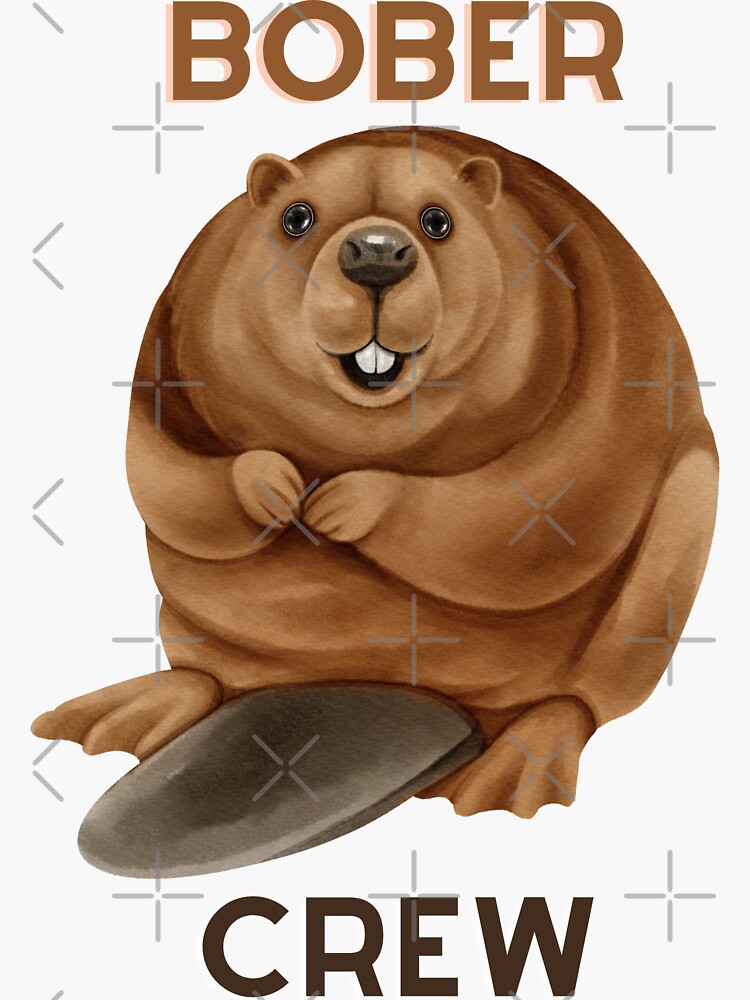 "Bober Crew: Laughing Kurwa Beaver Meme" Sticker for Sale by ...