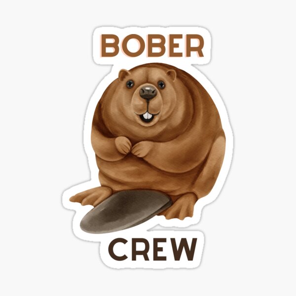 "Bober Crew: Laughing Kurwa Beaver Meme" Sticker for Sale by ...