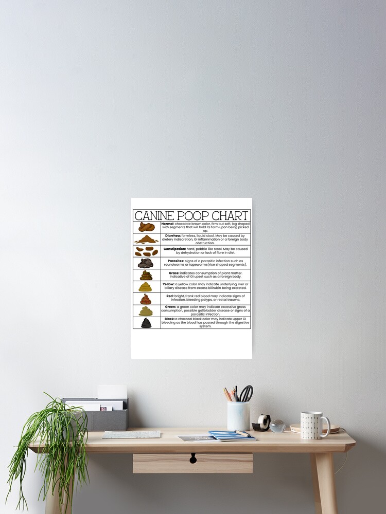 "Canine Poop Chart" Poster for Sale by FLHeifer | Redbubble