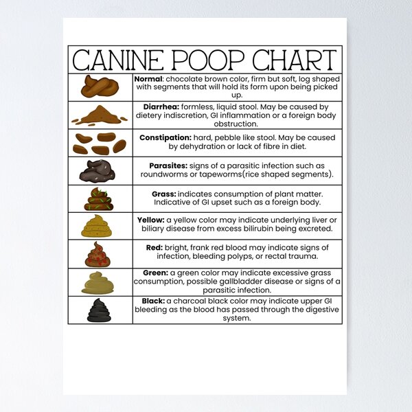 Poop List Memes This IG Page Is The Hub For Funny Cat Memes, And Here