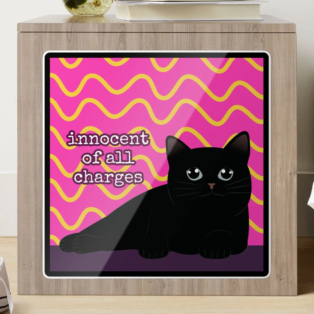 Innocent Cat Quotes