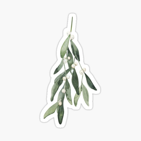 "Symbols of Immortality, Mistletoe Drawing" Sticker for Sale by ...