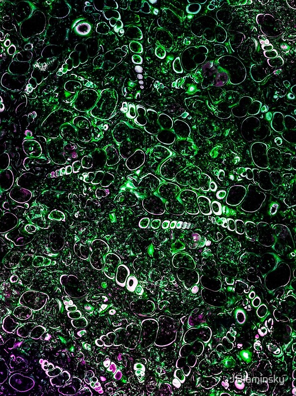 "The world of shells" by JBlaminsky | Redbubble