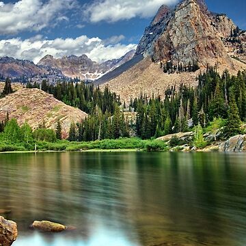 "Cerveza Pacifico, Pacifico" Sticker for Sale by Amanda W Lawson ...