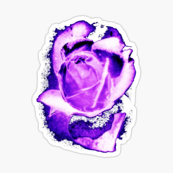 "Purple Rose" Sticker for Sale by Wayne48 | Redbubble