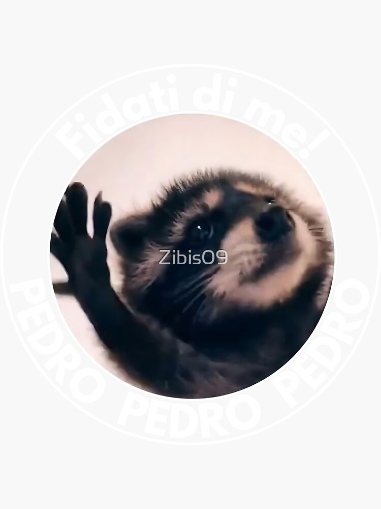 "Pedro raccoon, Pedro Pedro Pedro, Viral, Memes" Sticker for Sale by ...