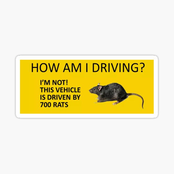 "HOW AM I DRIVING? I'M NOT! THIS VEHICLE IS DRIVEN BY 700 rats - FUNNY ...