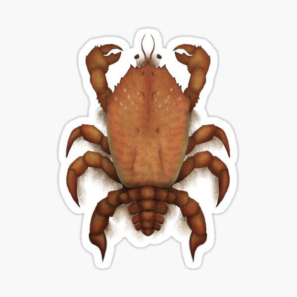 Jonathan Andrew Miron Shop | Redbubble