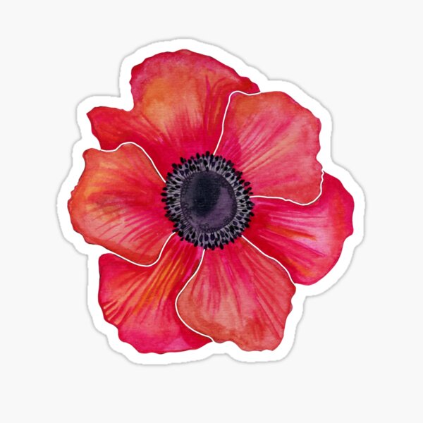 "Beautiful Painted Poppy Flower" Sticker for Sale by FoxandCrow | Redbubble