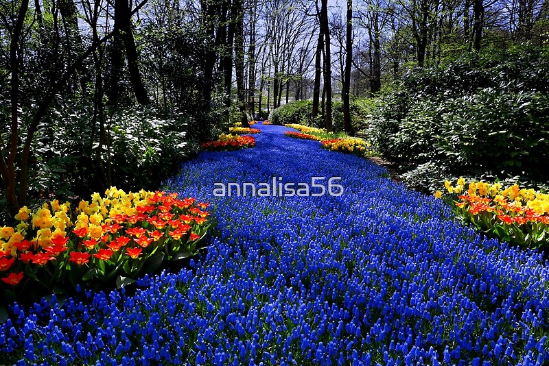 "The blue path" by annalisa bianchetti | Redbubble