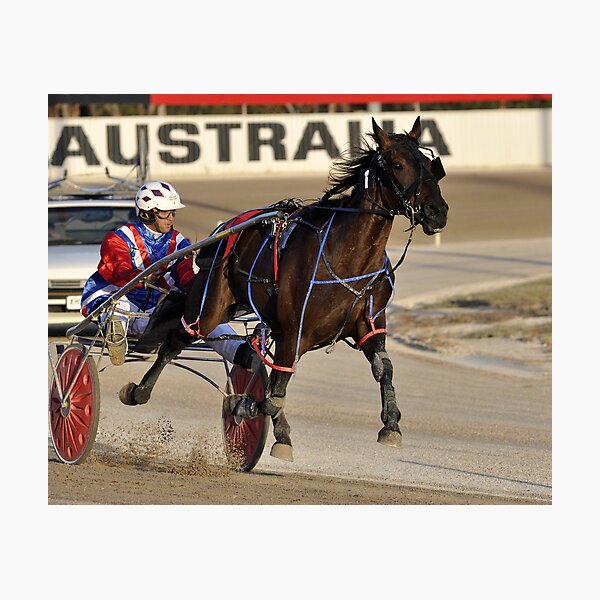 Harness Horse Gifts & Merchandise | Redbubble