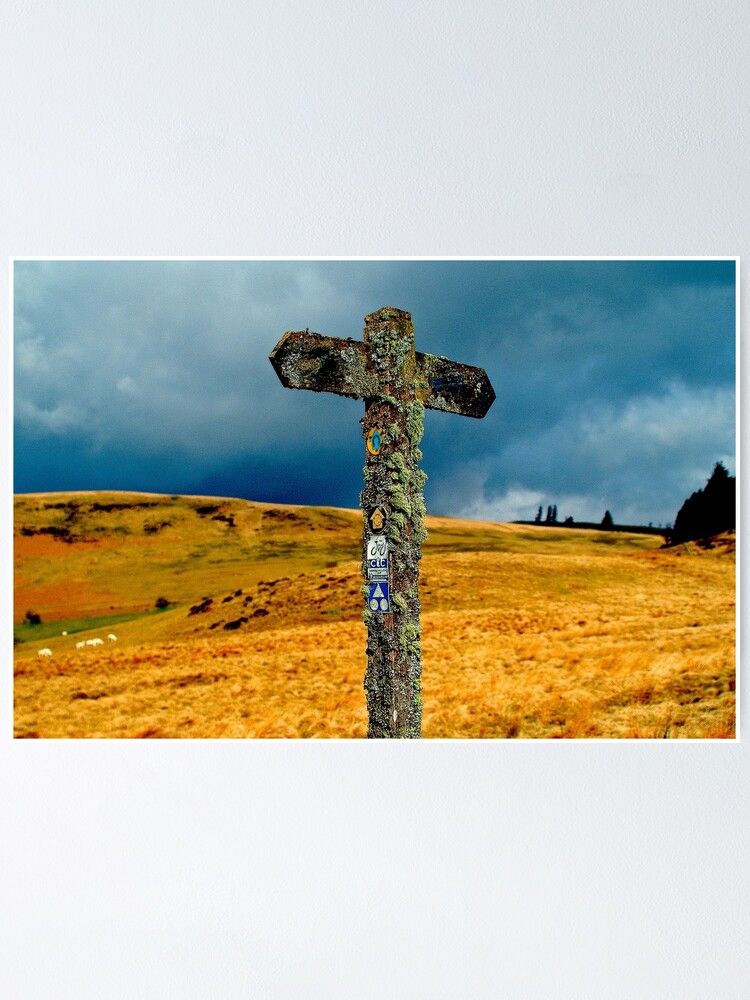 "Now which way? Welsh signpost" Poster for Sale by keithmilligan ...