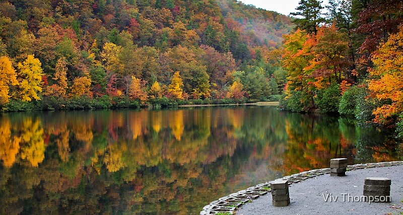 "Trout Pond in the Fall" by Viv Thompson | Redbubble