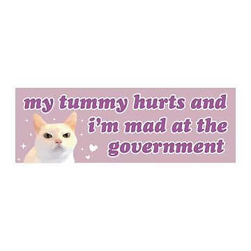 "My Tummy Hurts and I'm Mad at the Government Funny Bumper" Sticker for ...