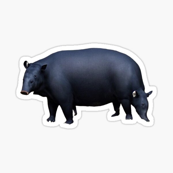 "Great Mountain Tapir" Sticker for Sale by Katherine G. | Redbubble