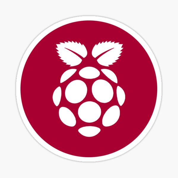 "Elevate Your Pi Game with Raspios Logo Shirt – Perfect for Raspberry ...