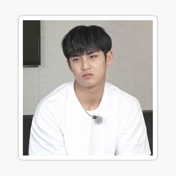 "Mingyu, Kim Mingyu, Svt, Gose, 17, Carat, Korean, Kpop, Meme, Memegyu ...