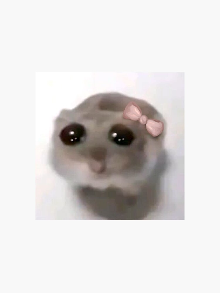 "Sad Hamster Meme (with bow) + Background" Sticker for Sale by Neteshez ...