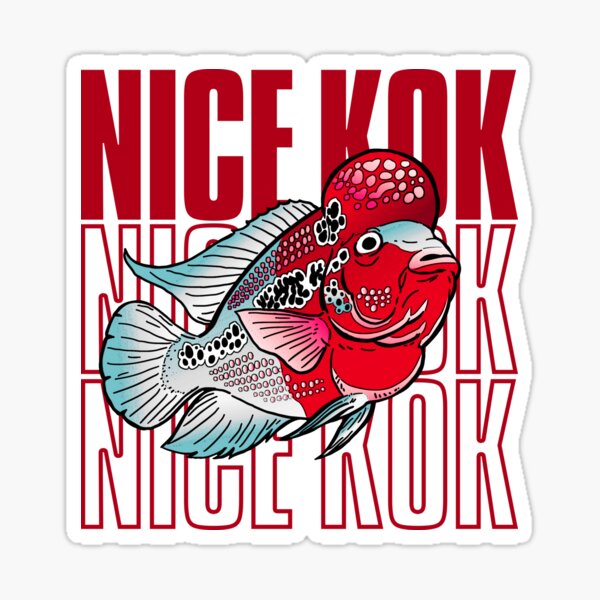 "Nice Kok Funny Flowerhorn Cichlid Fish Keeper" Sticker for Sale by ...