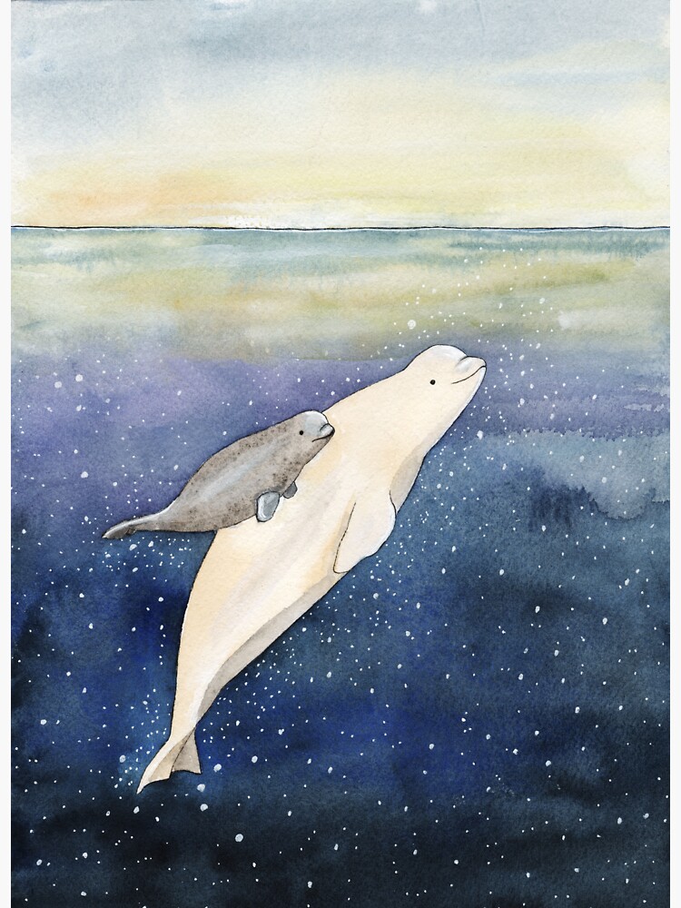 "Beluga mother and baby" Sticker for Sale by tinavandijk | Redbubble