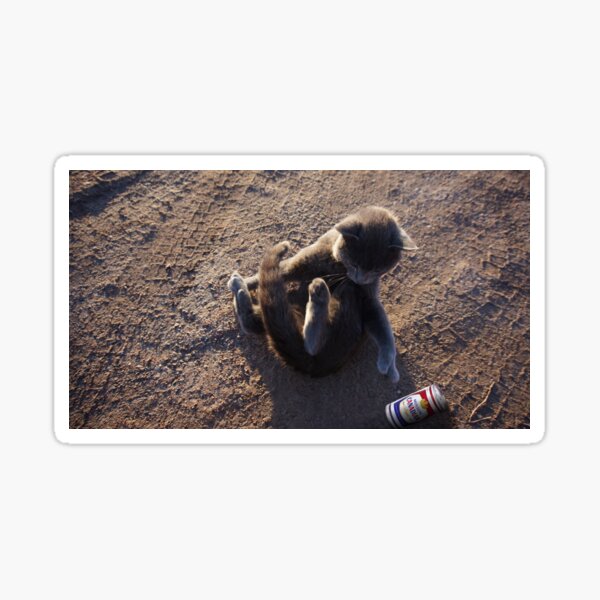 "I have fallen and cannot reach my beer" Sticker by colorfulbundles ...