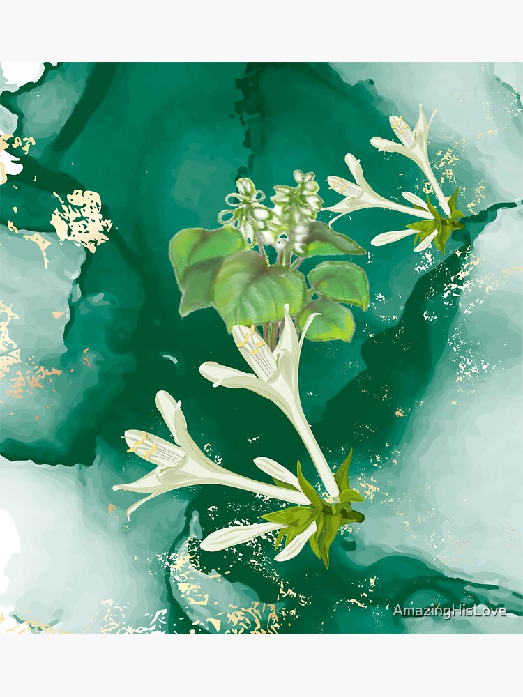 "Hosta and green abstract" Sticker for Sale by AmazingHisLove | Redbubble