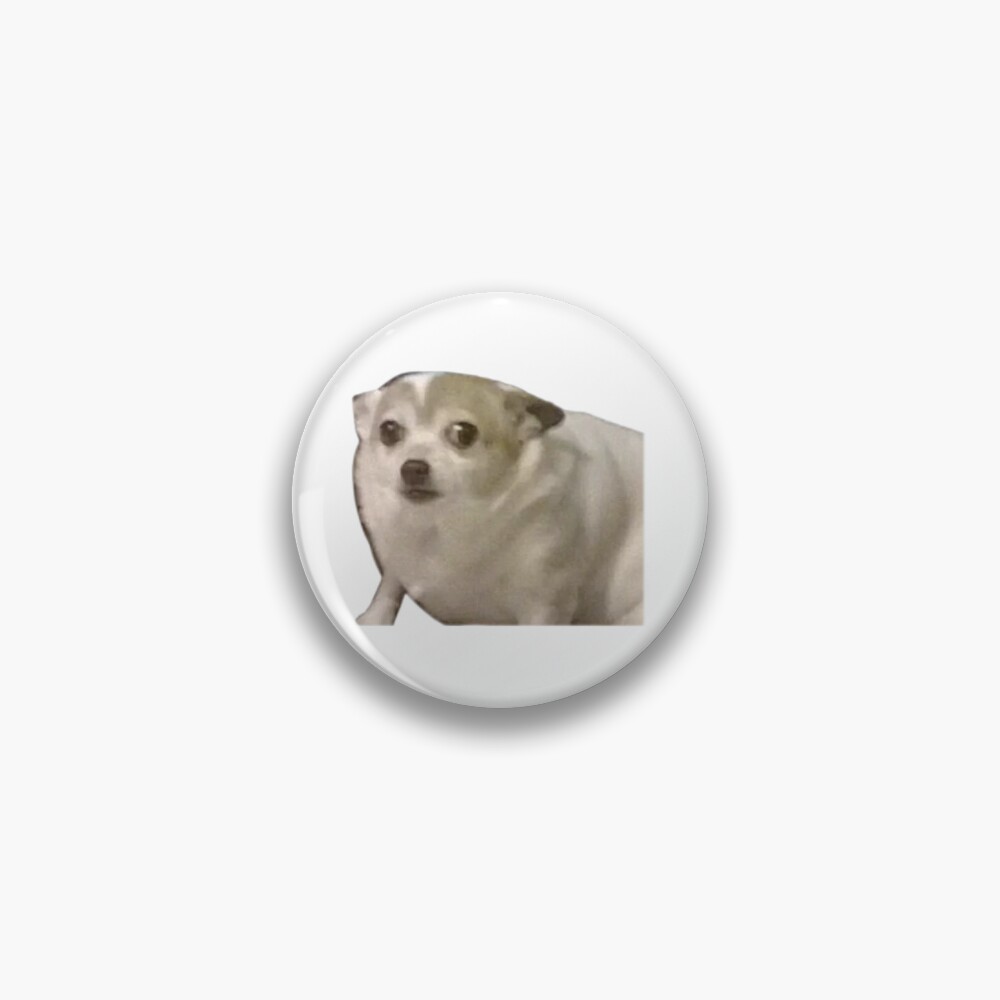 "Surprised dog meme" Sticker for Sale by TheCriticCouch | Redbubble