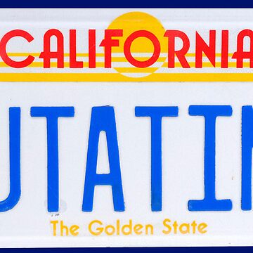 "Time Machine License Plate" Sticker for Sale by Hollow-Horse | Redbubble