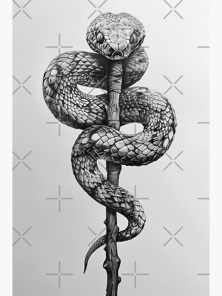 "Pit Viper Illustration" Sticker for Sale by OccultDreams | Redbubble