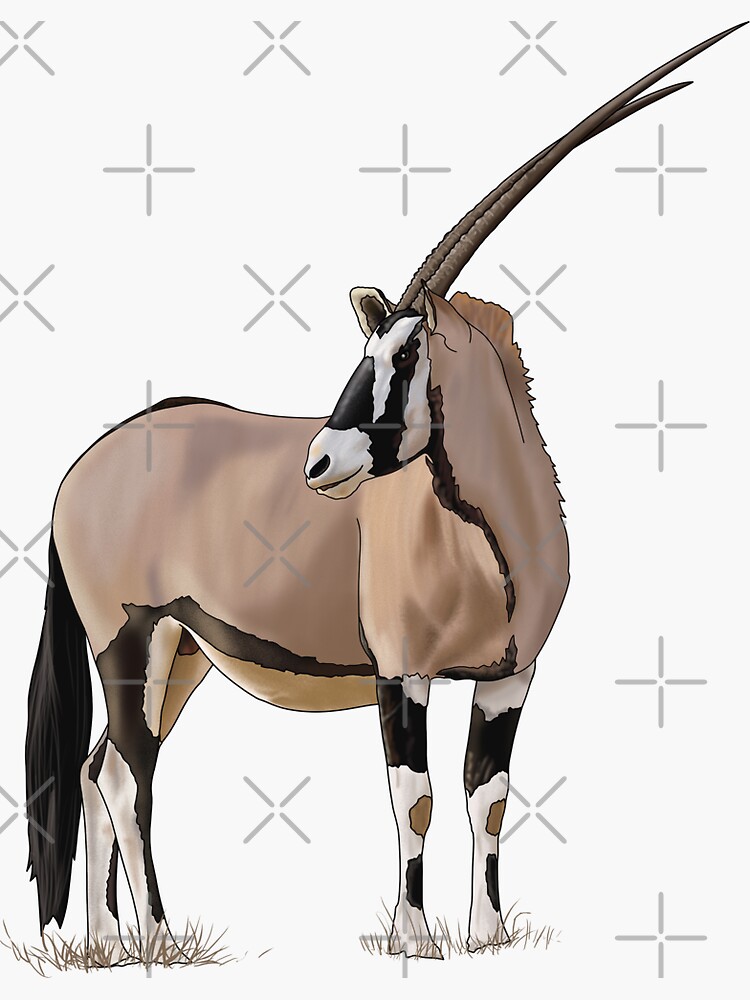 "gazelle" Sticker by sibosssr | Redbubble