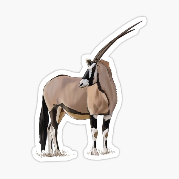 "gazelle" Sticker by sibosssr | Redbubble