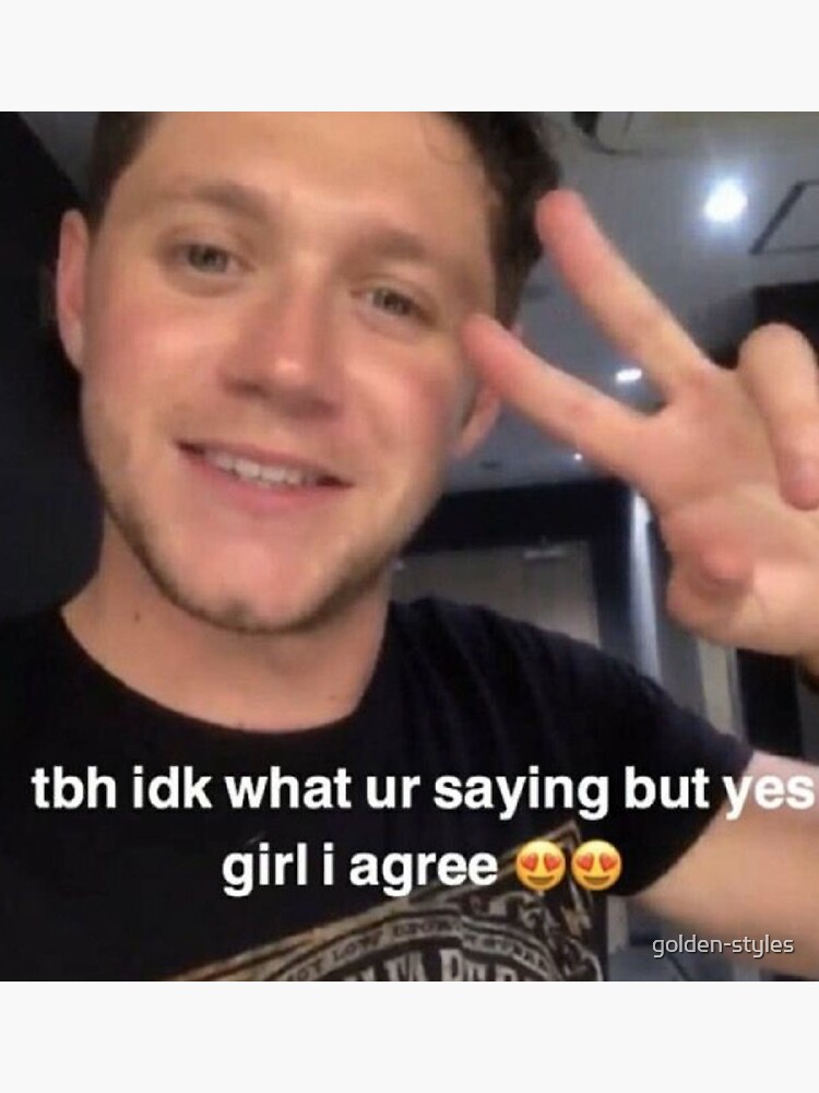 Niall Horan Memes