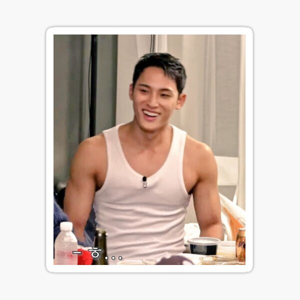 "mingyu, kim mingyu, svt, gose, 17, carat, korean, kpop, meme, memegyu ...