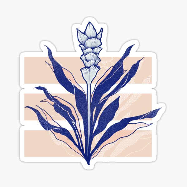 "Turmeric plant botanical illustration" Sticker for Sale by Rômulo ...