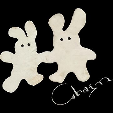 "clairo charm" Sticker for Sale by guffawearing | Redbubble