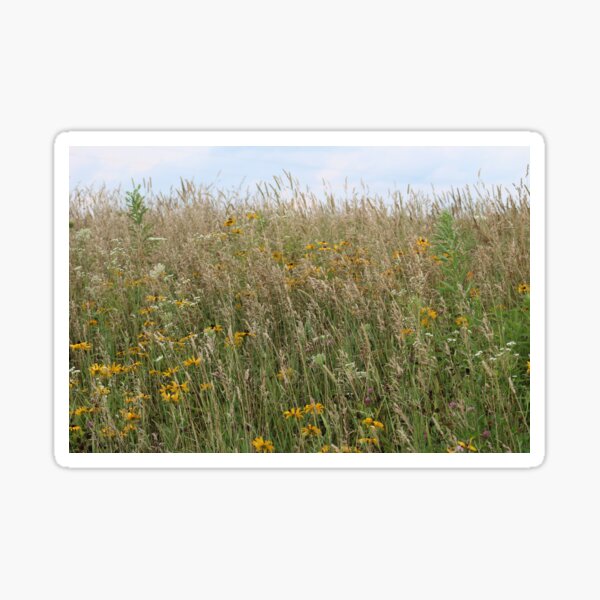 "Farm Field" Sticker for Sale by DerinKlick | Redbubble