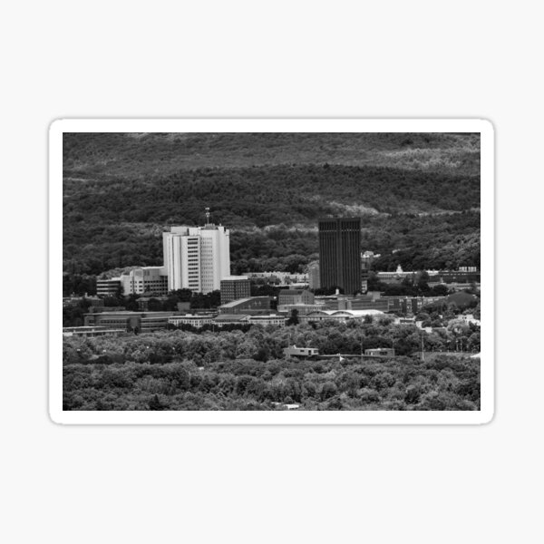 "The View" Sticker for Sale by Tim Dusenberry | Redbubble