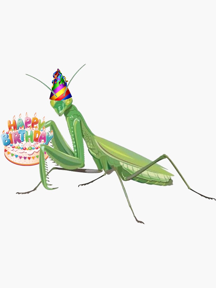 "Praying Mantis Happy Birthday Cake Party Hat" Sticker for Sale by ...