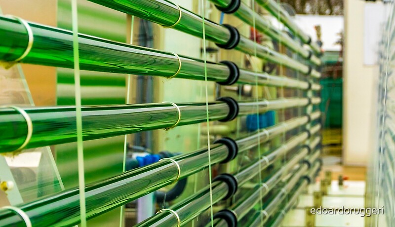 "MicroAlgae Plant Reactor" by edoardoruggeri | Redbubble