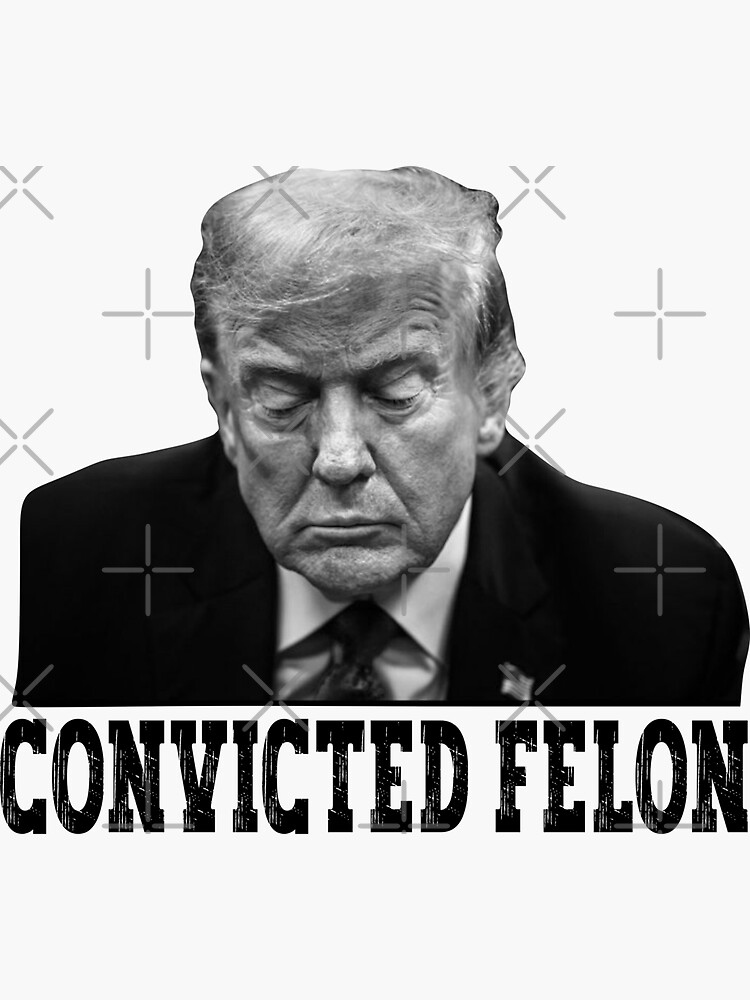 Convicted felon, convicted felon, convicted felon. | Page 6 | PoliticalForum.com - Forum for US ...