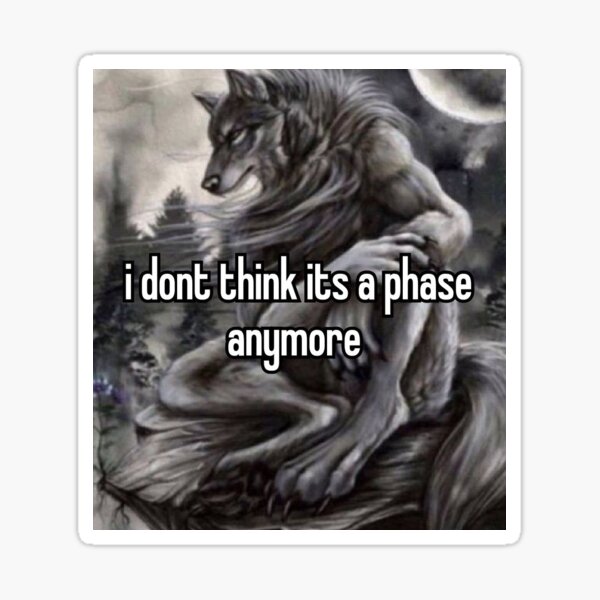 "It’s not a phase" Sticker for Sale by Hunter3773 | Redbubble
