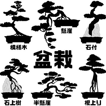 "Bonsai Chart -White-" Sticker for Sale by kanjisetas | Redbubble