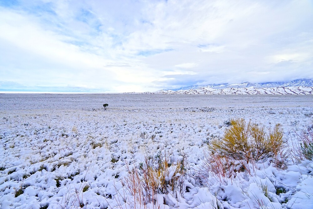 "Snow on the High Plains" by Harry Oldmeadow | Redbubble