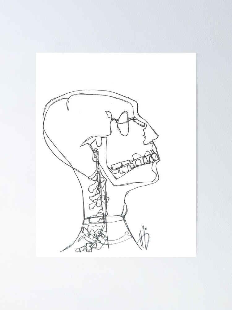 "Skull Contour Illustration" Poster by artshopc360 | Redbubble
