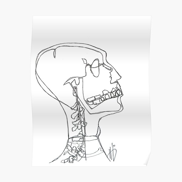"Skull Contour Illustration" Poster by artshopc360 | Redbubble
