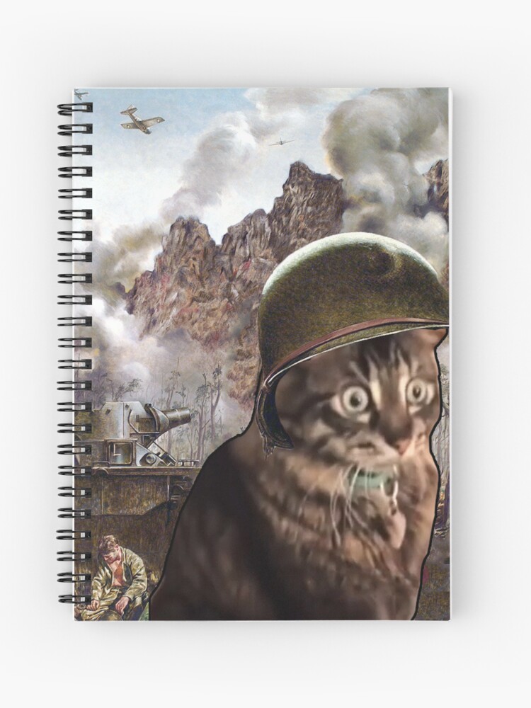 Paranoides Katzenmeme