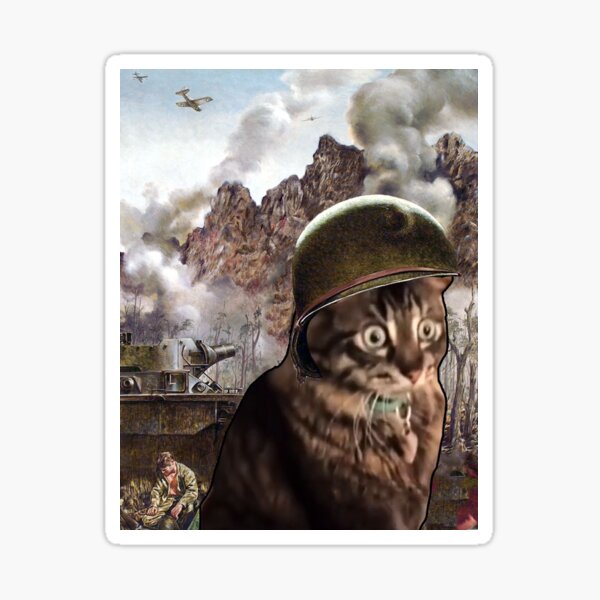 "Cat War PTSD Meme Silly" Sticker for Sale by chookiebookie | Redbubble