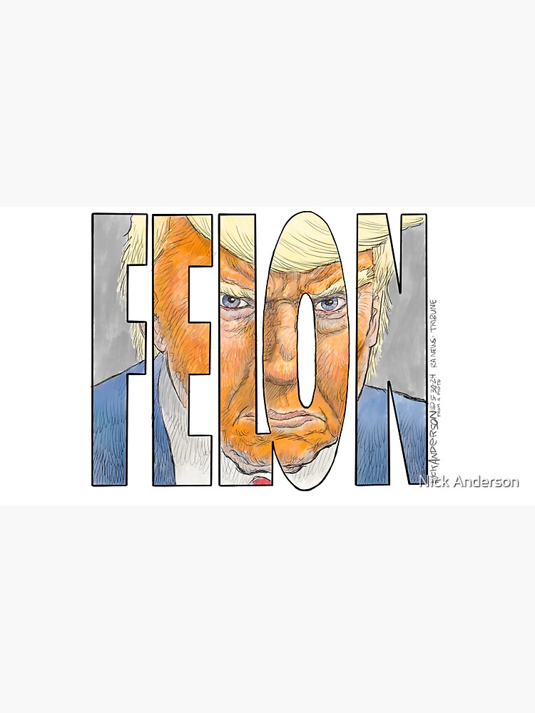 "The Felon" Cap for Sale by Nick Anderson | Redbubble