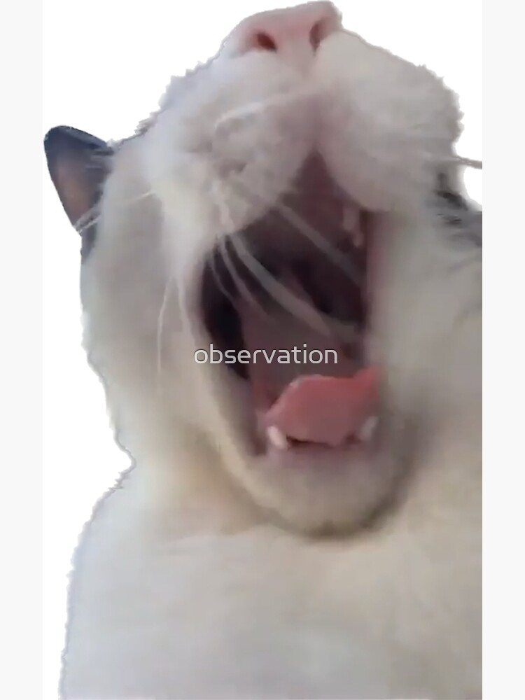 Yawning Cat Meme Very Tired Cat On A Sofa, Cat With Open Mouth In Blur
